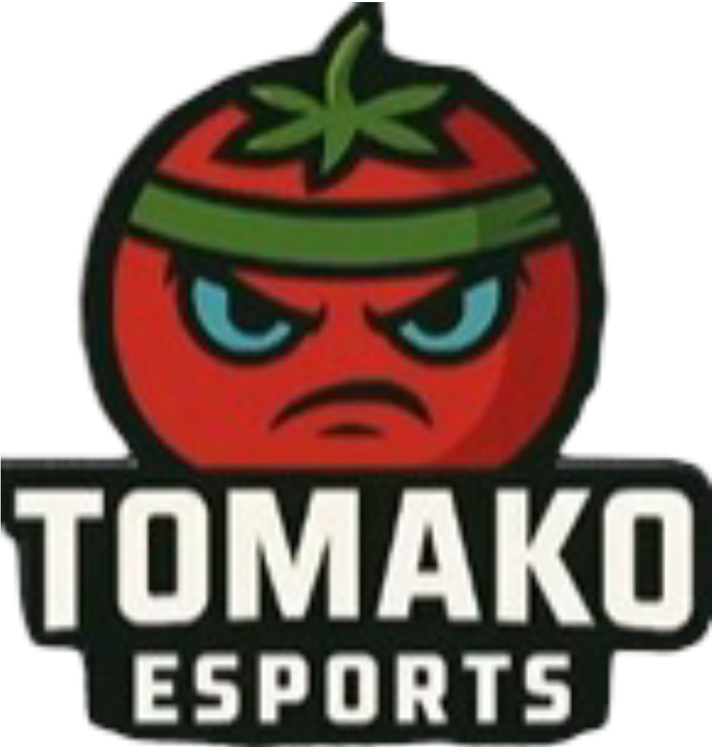 CS:GO Matches – Schedule, Live Streams, Odds and Results